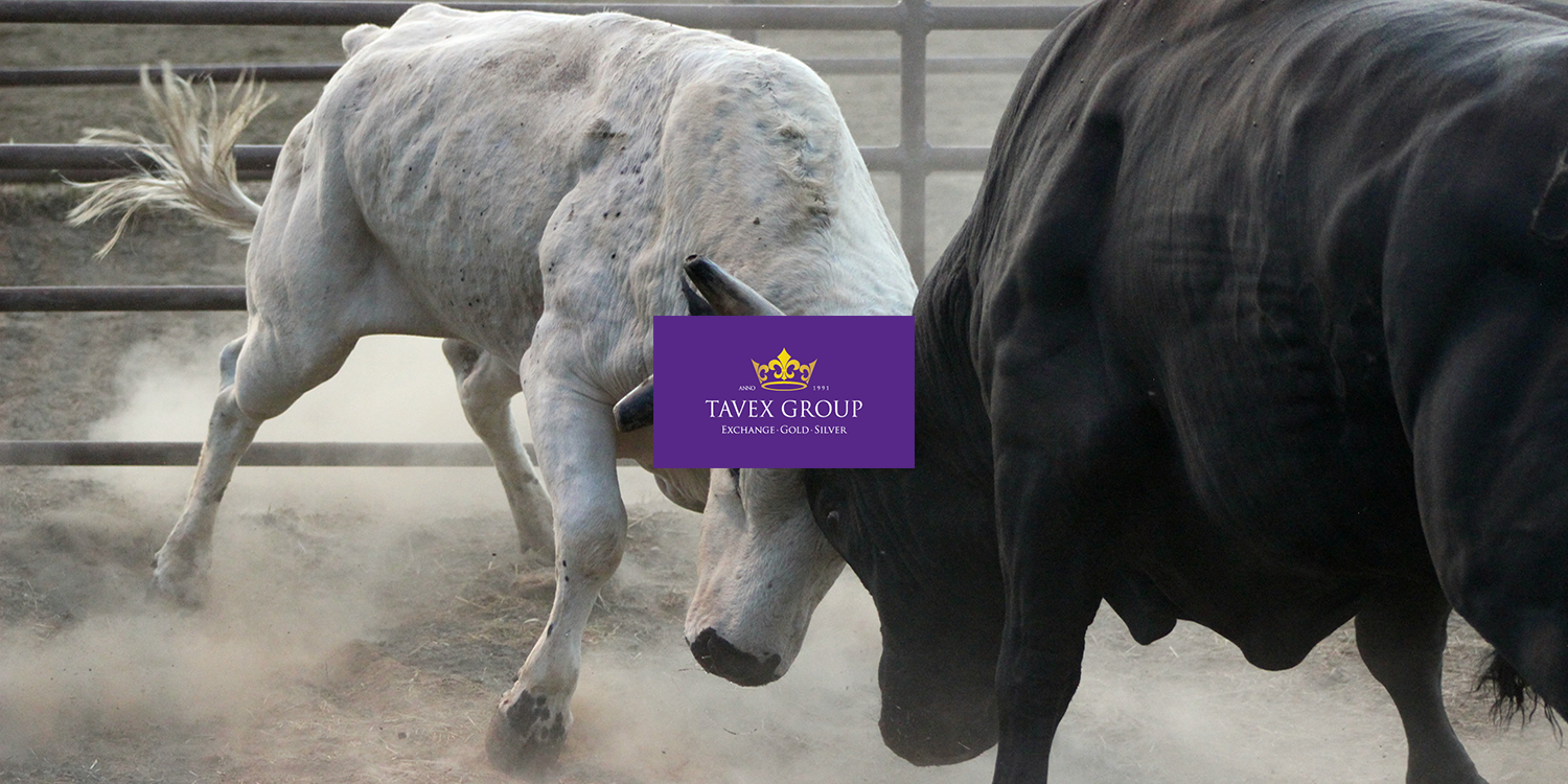 The gold bull market is just beginning - Tavex Sweden